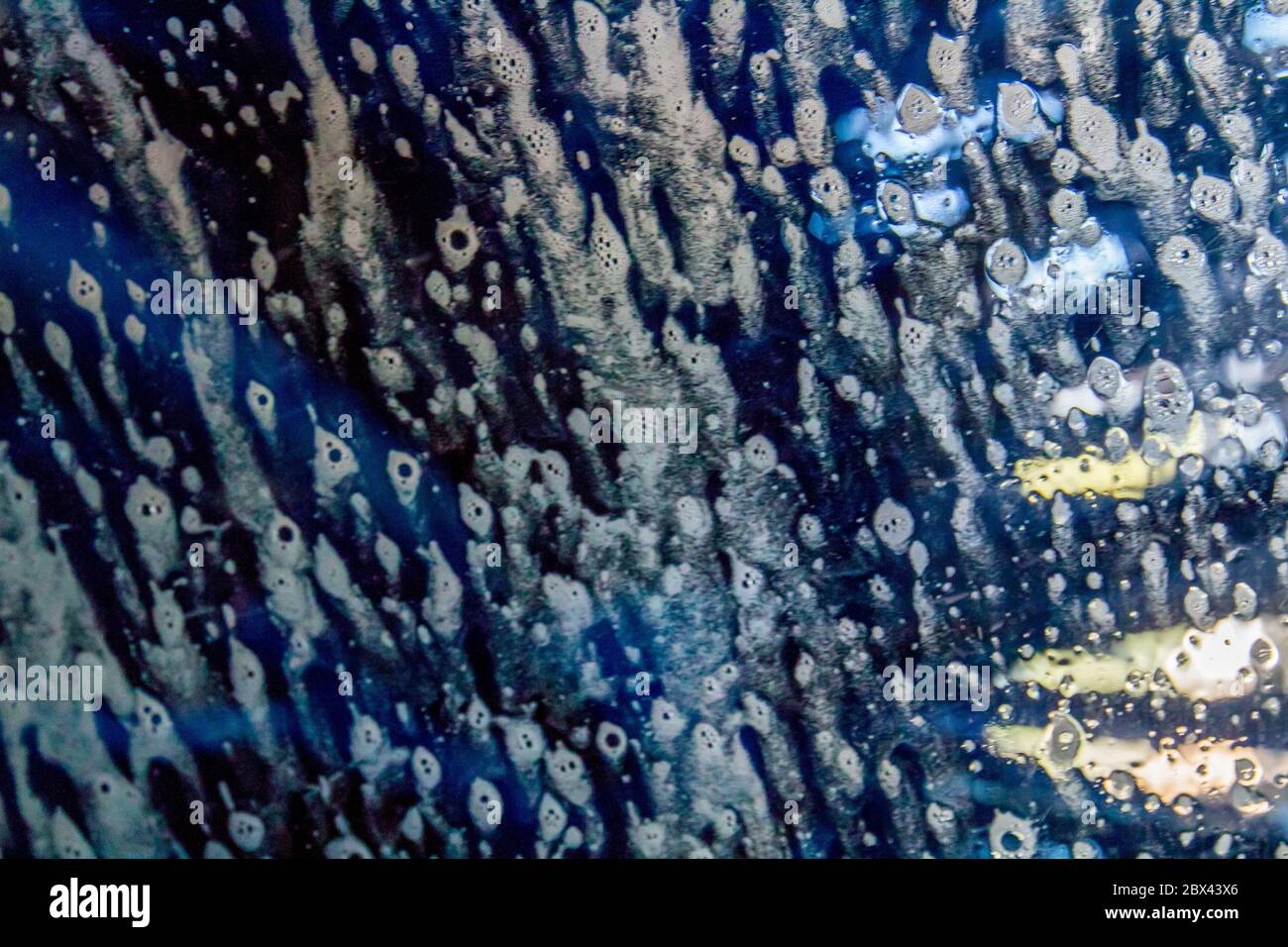 Car wash inside hi-res stock photography and images - Alamy