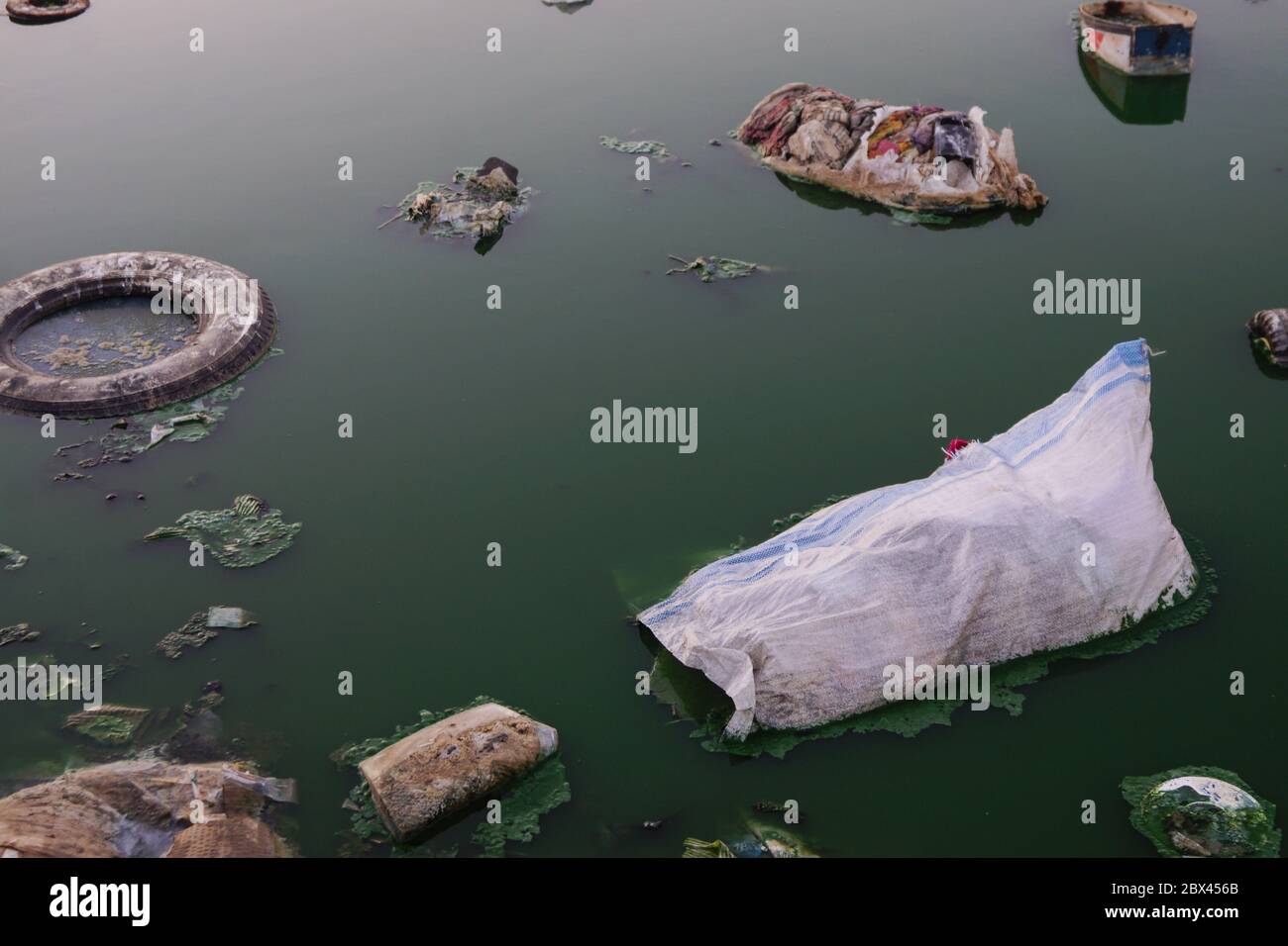 water pollution , dirty lake Stock Photo - Alamy
