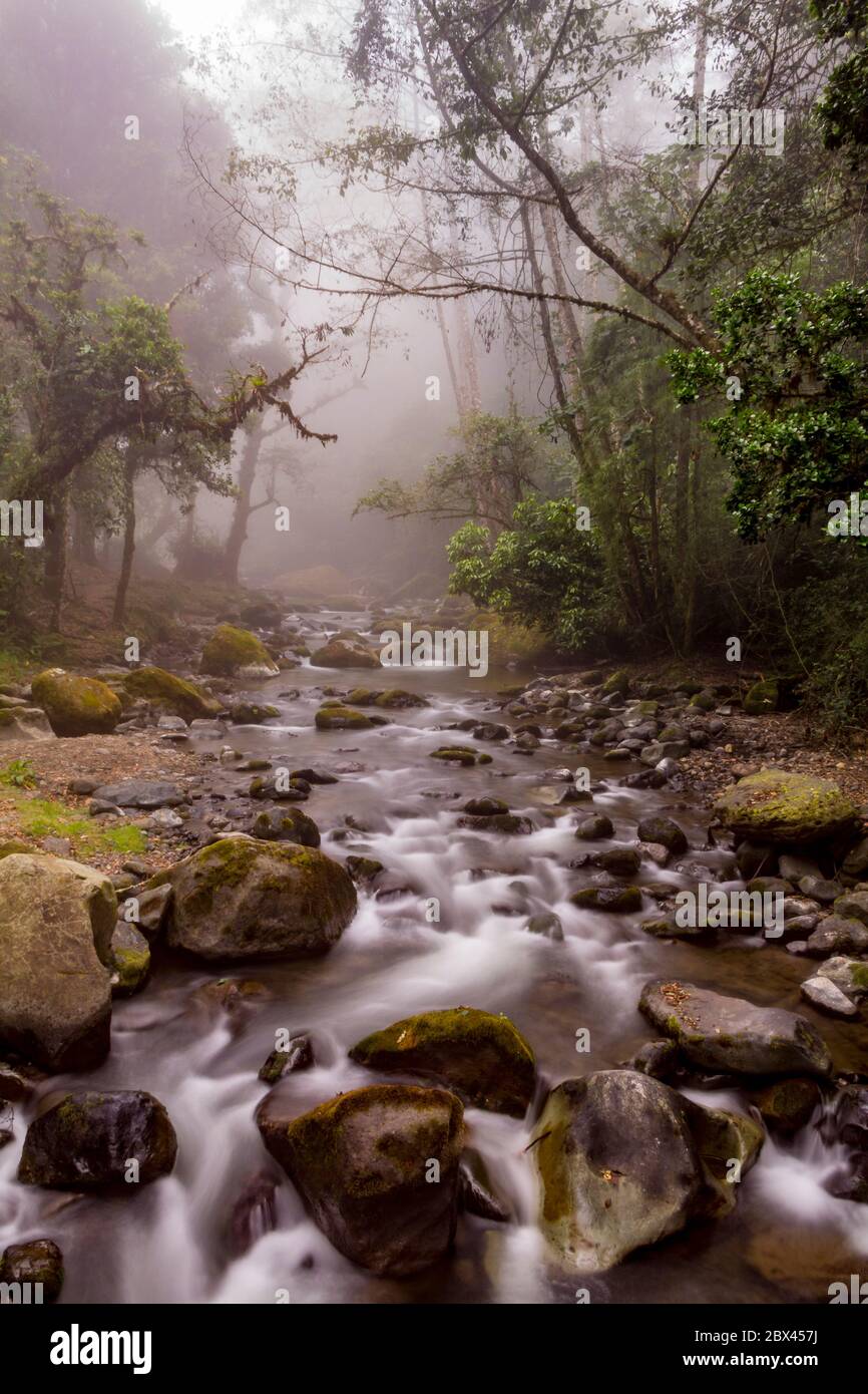 Savegre River, San Gerardo de Dota. Quetzales National Park, Costa Rica ...