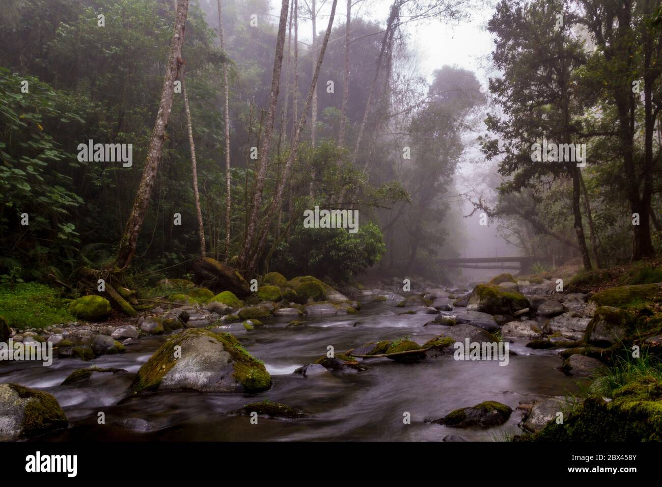 Savegre River, San Gerardo de Dota. Quetzales National Park, Costa Rica ...