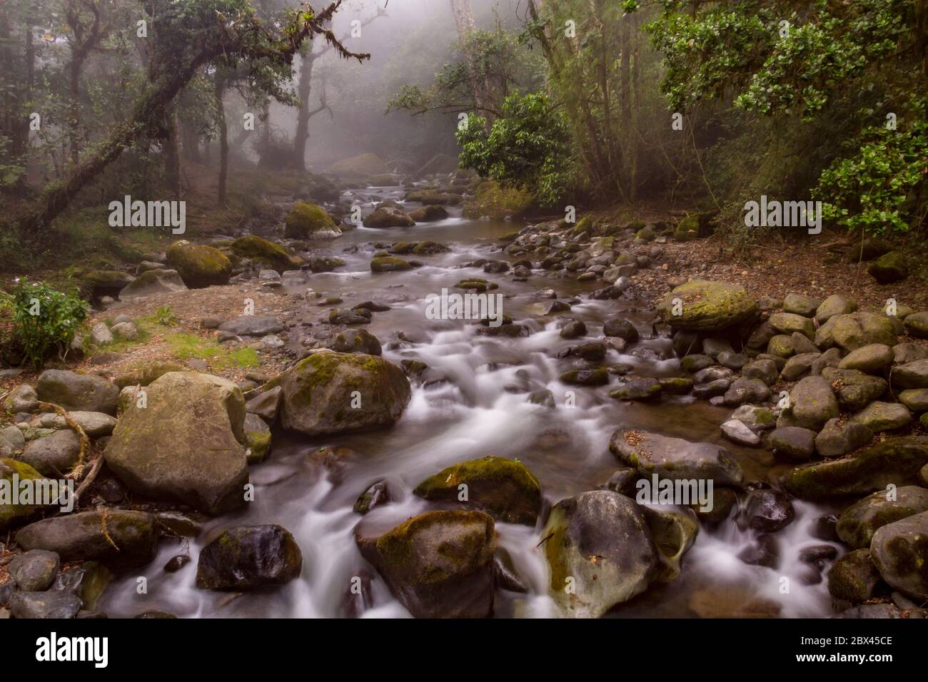 Savegre River, San Gerardo de Dota. Quetzales National Park, Costa Rica ...