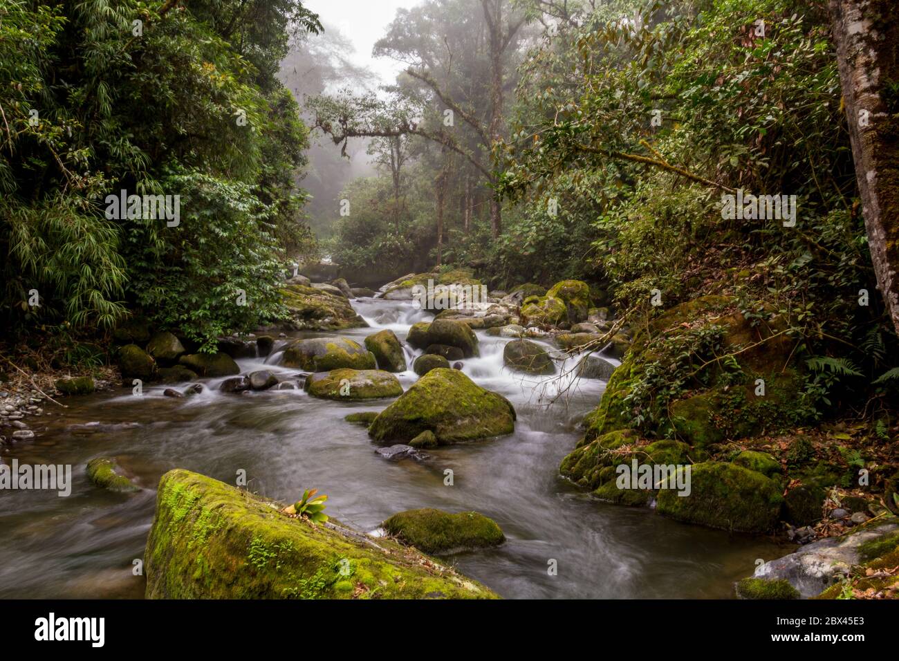 Savegre River, San Gerardo de Dota. Quetzales National Park, Costa Rica ...