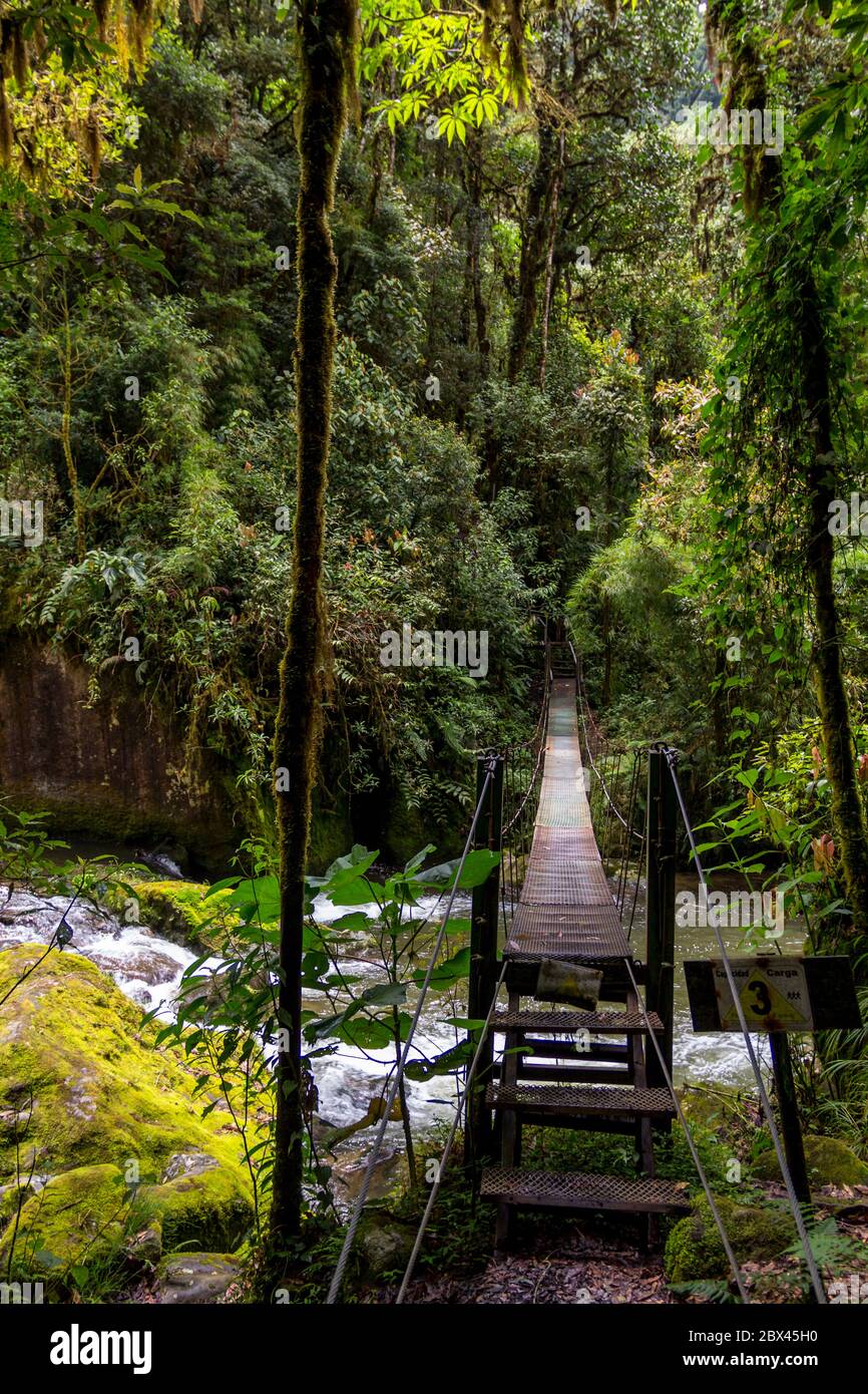 Savegre River, San Gerardo de Dota. Quetzales National Park, Costa Rica ...