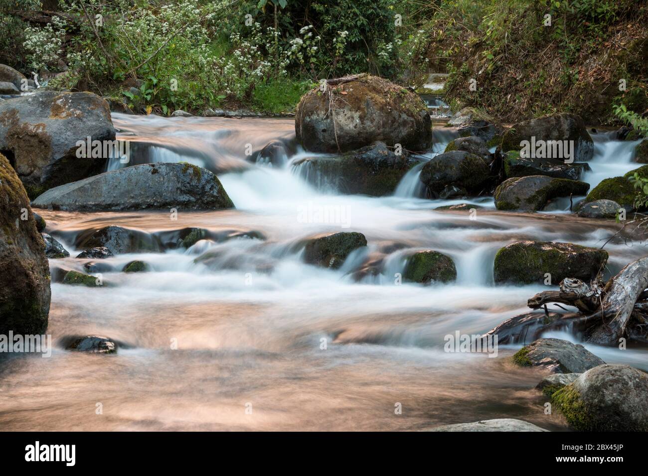 Savegre River, San Gerardo de Dota. Quetzales National Park, Costa Rica ...