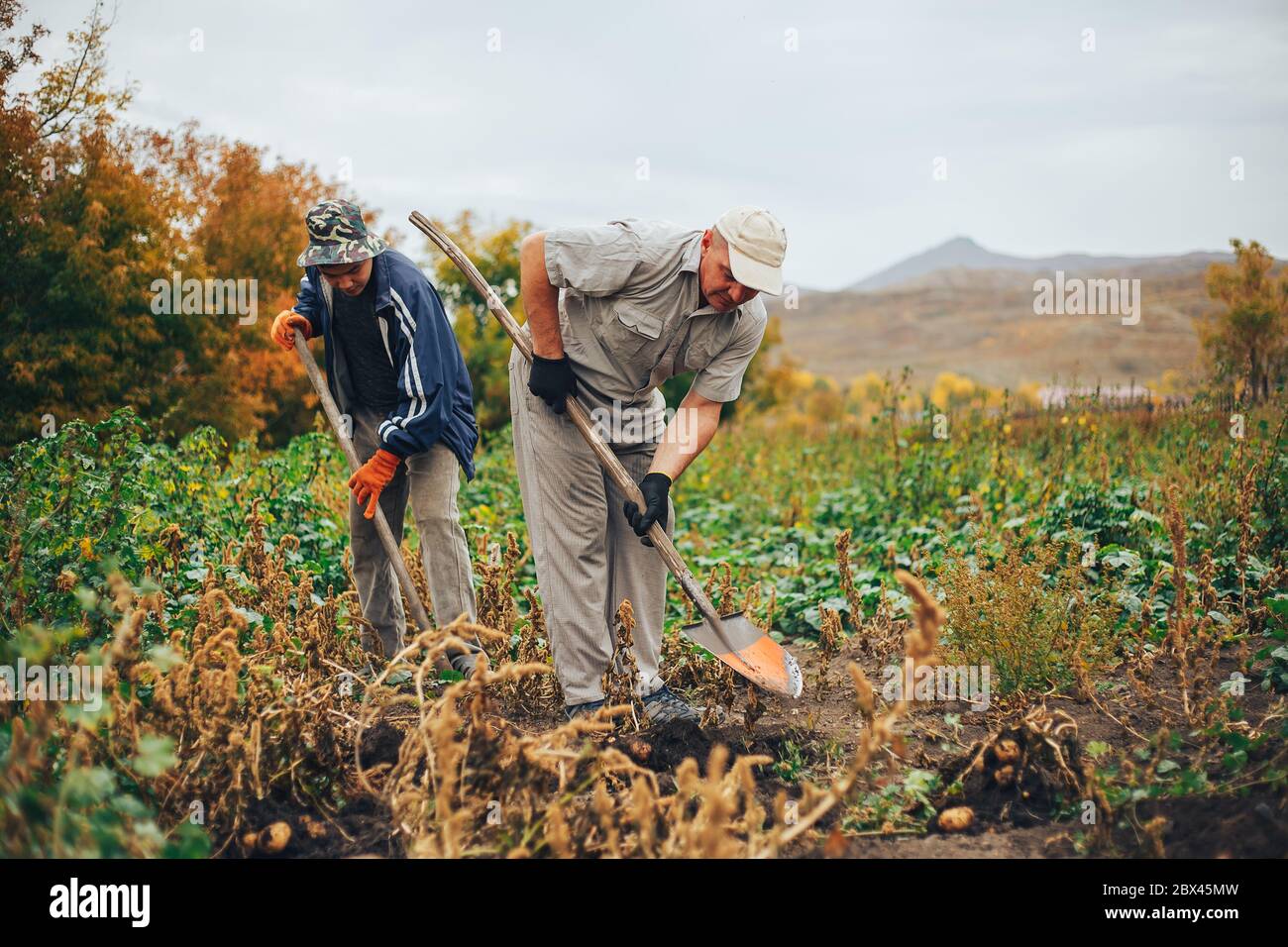 Kid digging in garden hi-res stock photography and images - Alamy