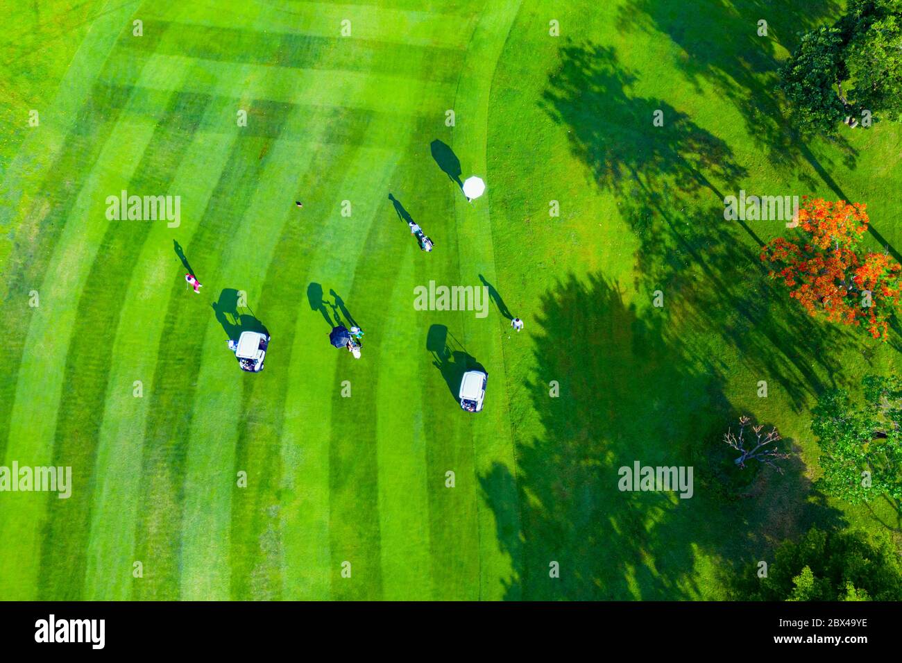 Aerial view of golf field landscape with sunrise view in the morning ...