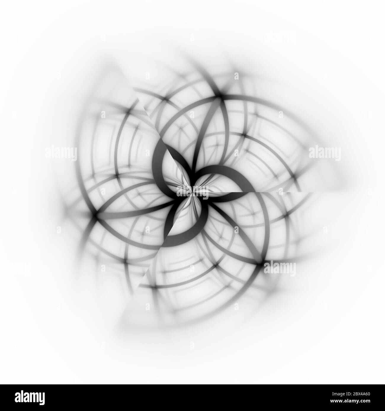 Beautiful fractal flower in Black and White Stock Photos & Images - Alamy