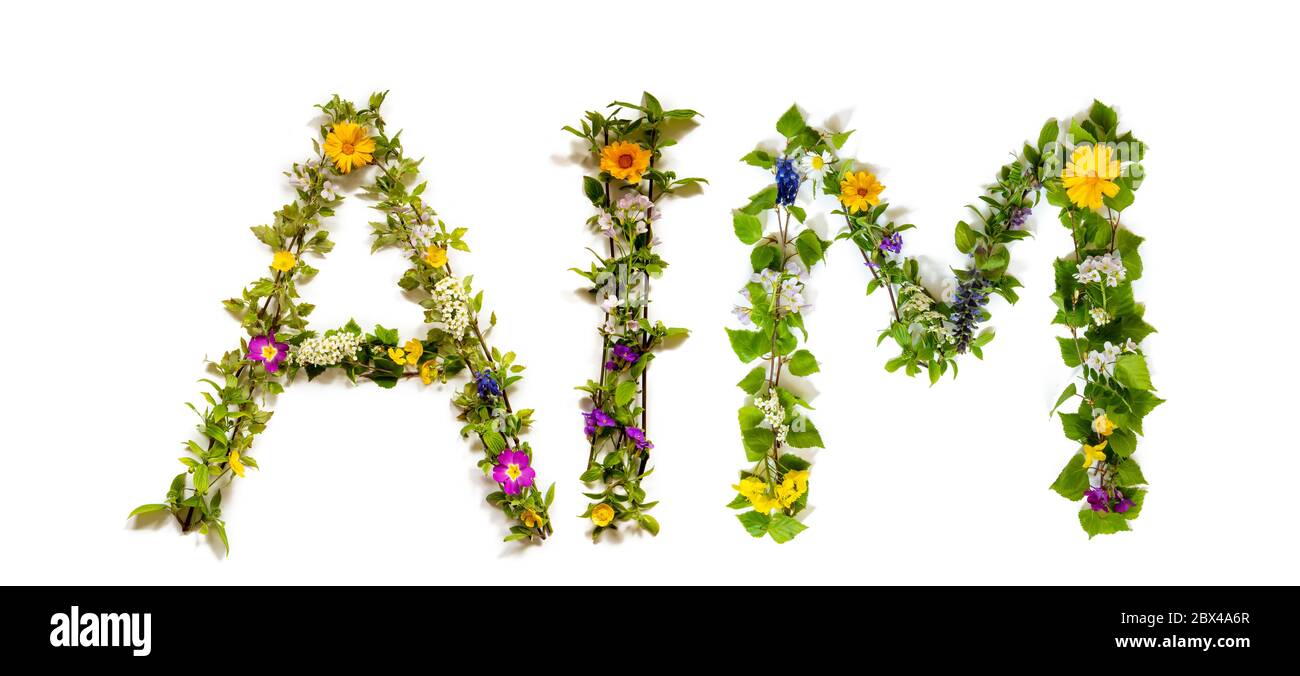 Aim building Cut Out Stock Images & Pictures - Alamy