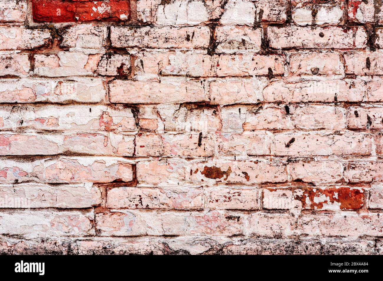 Texture, brick, wall, it can be used as a background. Brick texture ...