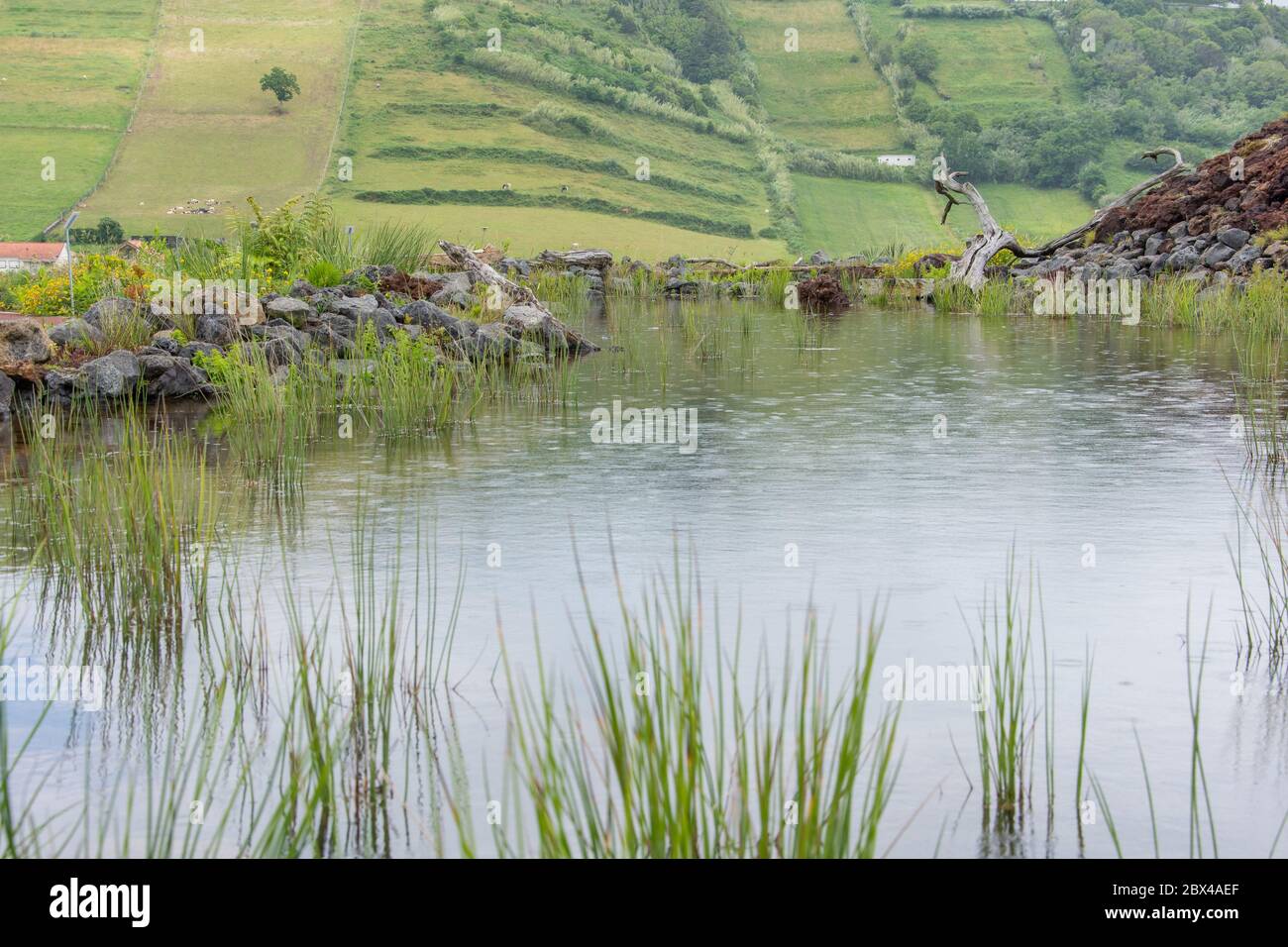 Walk on the Azores archipelago. Discovery of the island of Faial ...