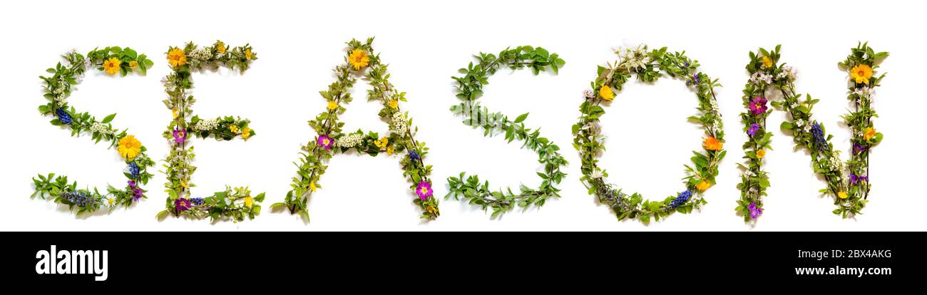 Flower And Blossom Letter Building Word Season Stock Photo - Alamy