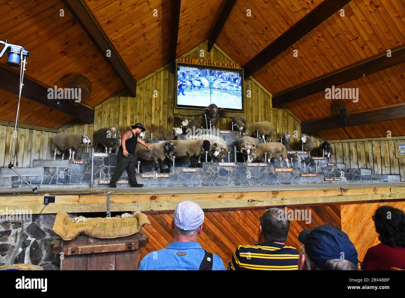 Agrodome sheep farm show hi-res stock photography and images - Alamy
