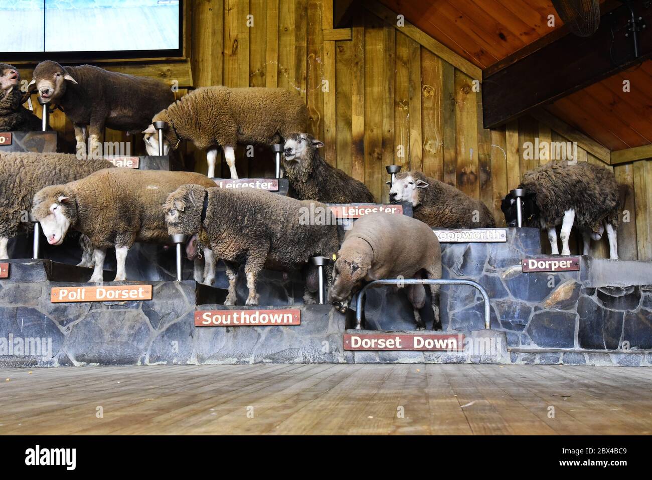 Agrodome hi-res stock photography and images - Alamy