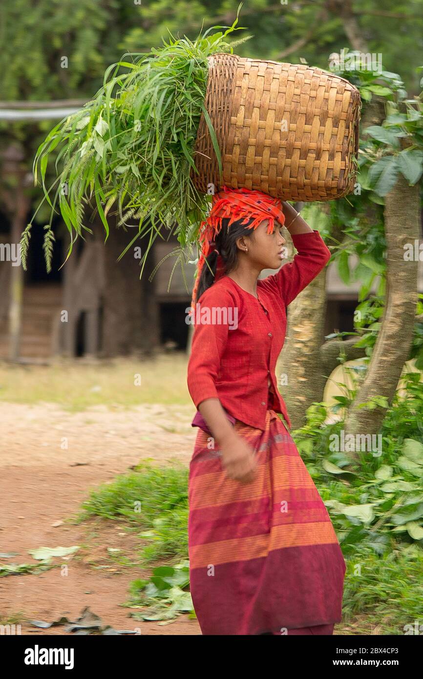 Myanmar, people working on fields between kalaw and inle lake Stock ...