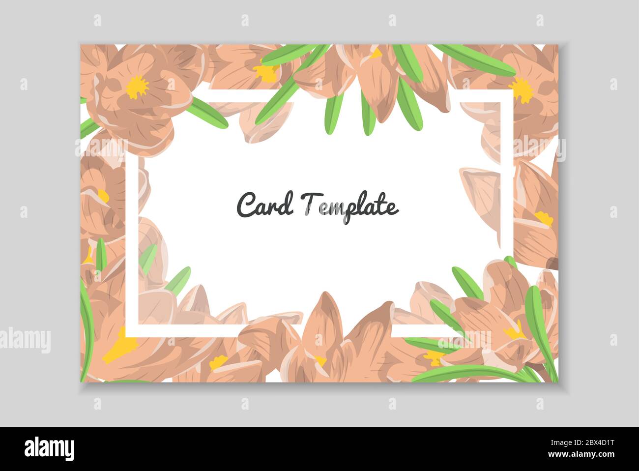 Rectangular card frame with pink hand drawn crocus flower arrangement ...