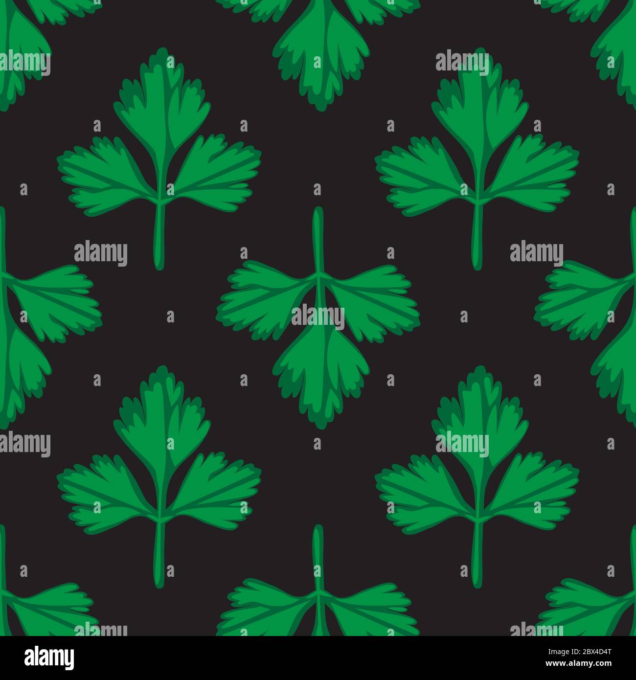seamless pattern of green parsley leaf on black background. Vector ...