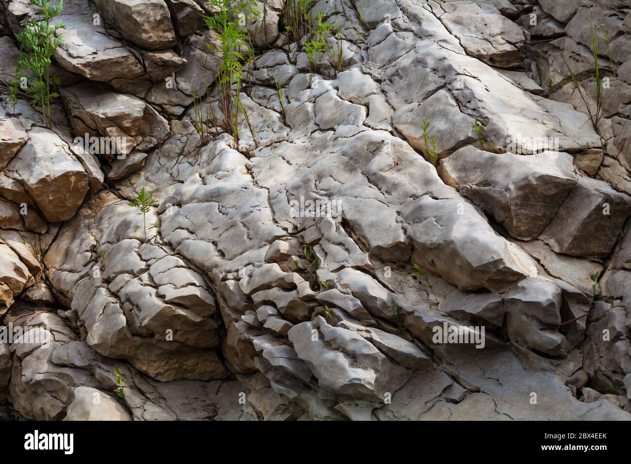 Panama lago alajuela hi-res stock photography and images - Alamy