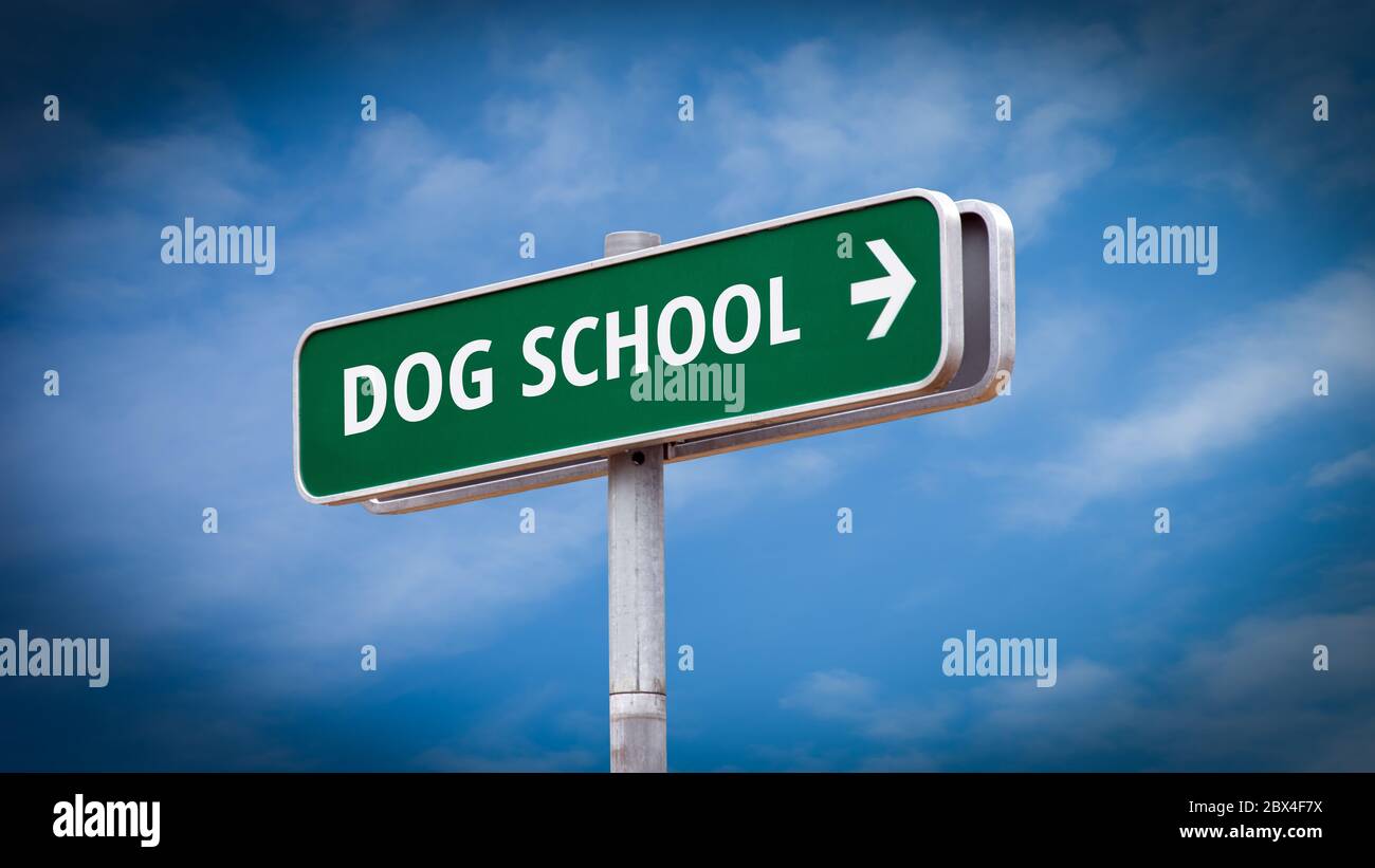 Street Sign the Direction Way to Dog School Stock Photo - Alamy