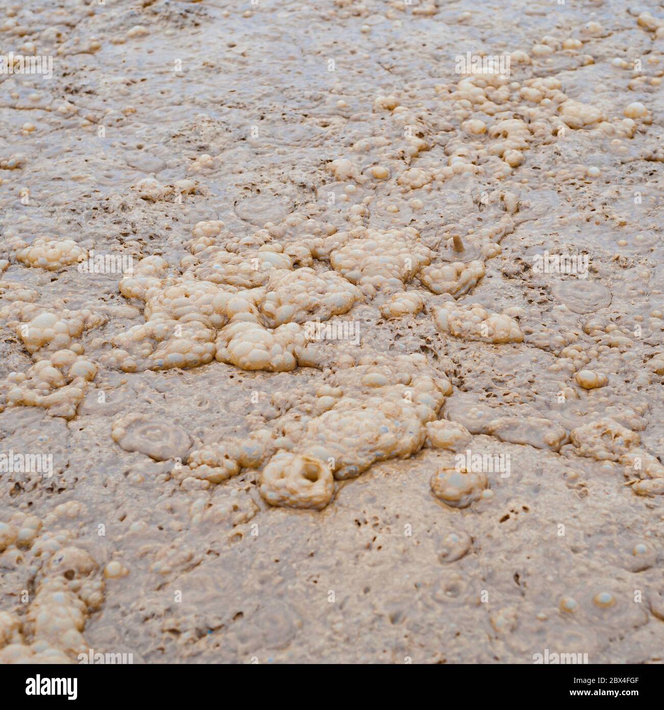 dirty waste water in sewage plant Stock Photo - Alamy