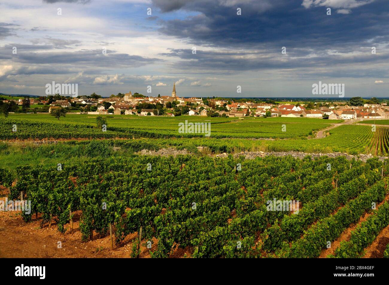 Meursault village hi-res stock photography and images - Alamy