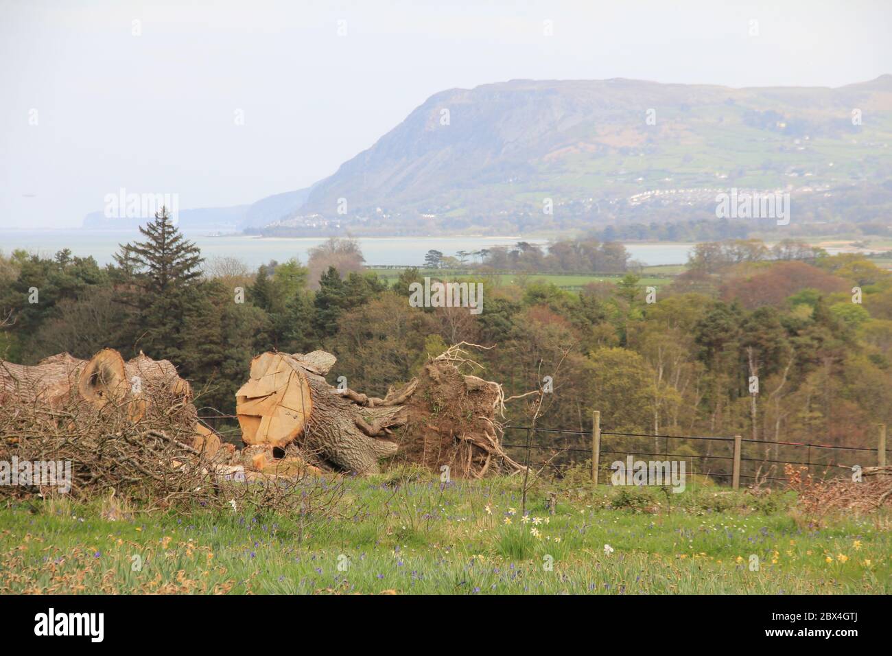 Lady penrhyn hi-res stock photography and images - Alamy