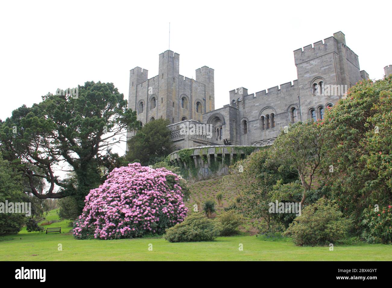 Penrhyn castle wales garden hi-res stock photography and images - Alamy