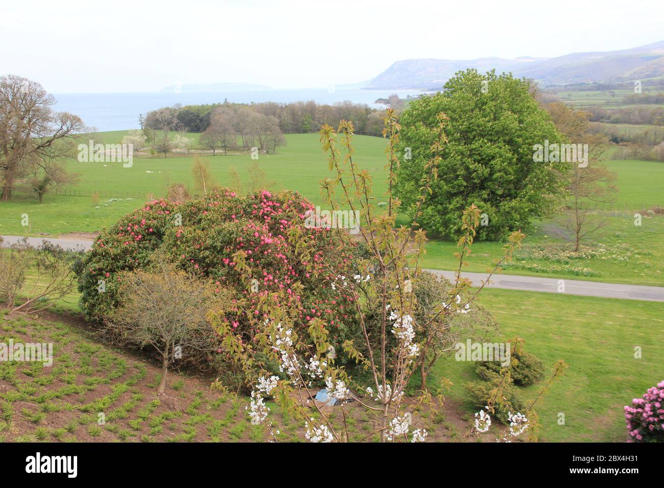 Lady penrhyn hi-res stock photography and images - Alamy