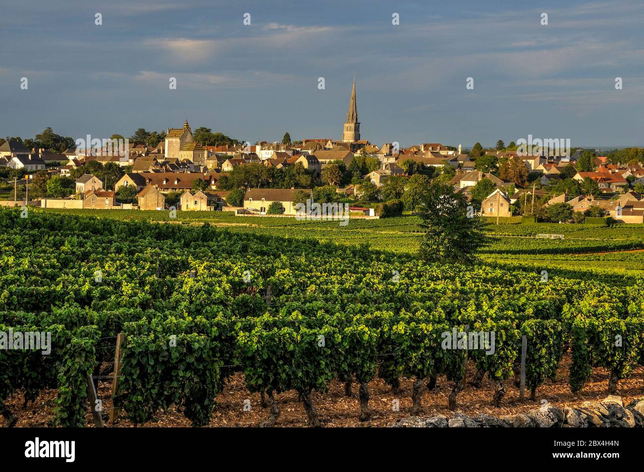 Meursault france hi-res stock photography and images - Alamy