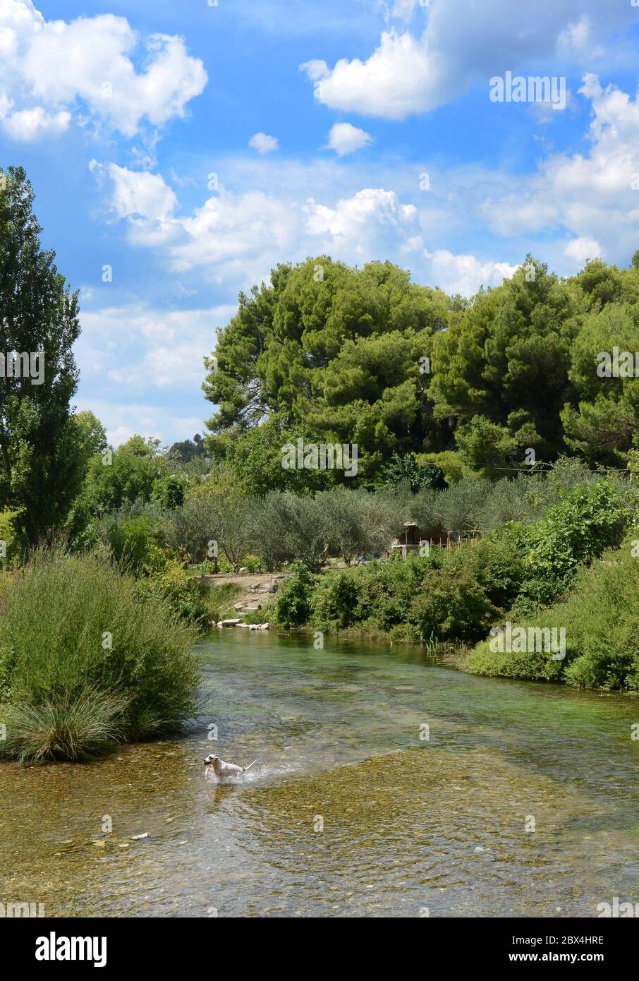 The Jadro river near Split, Croatia Stock Photo - Alamy