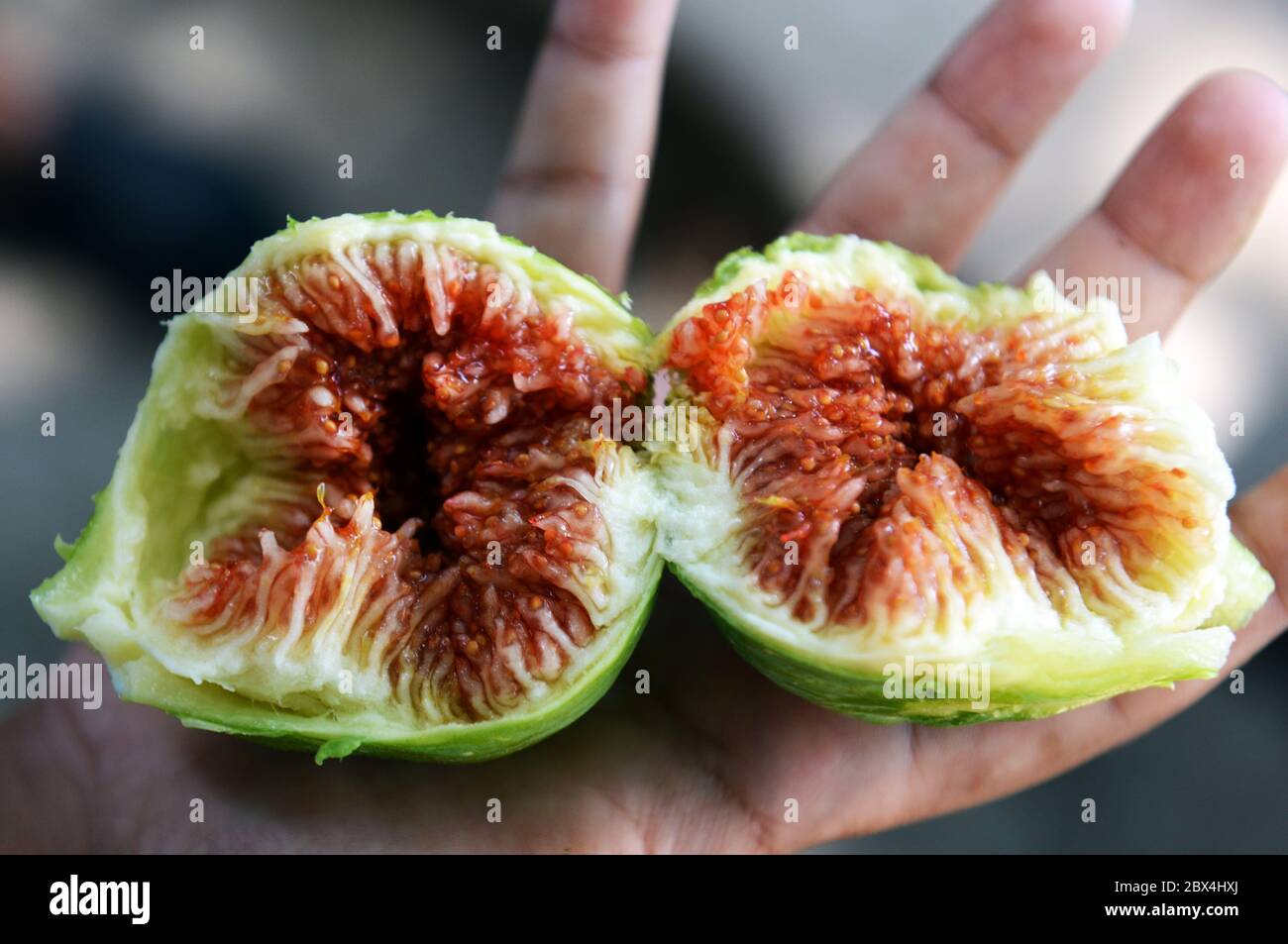 An open common fig Stock Photo - Alamy