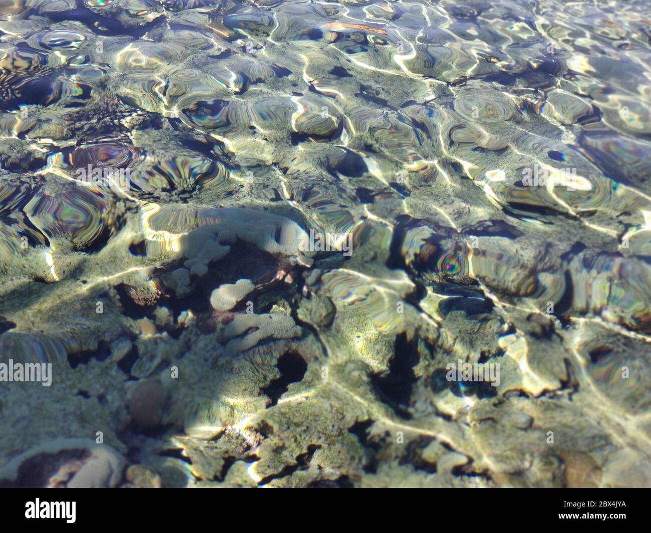 a clear sea water and corral under water Stock Photo - Alamy