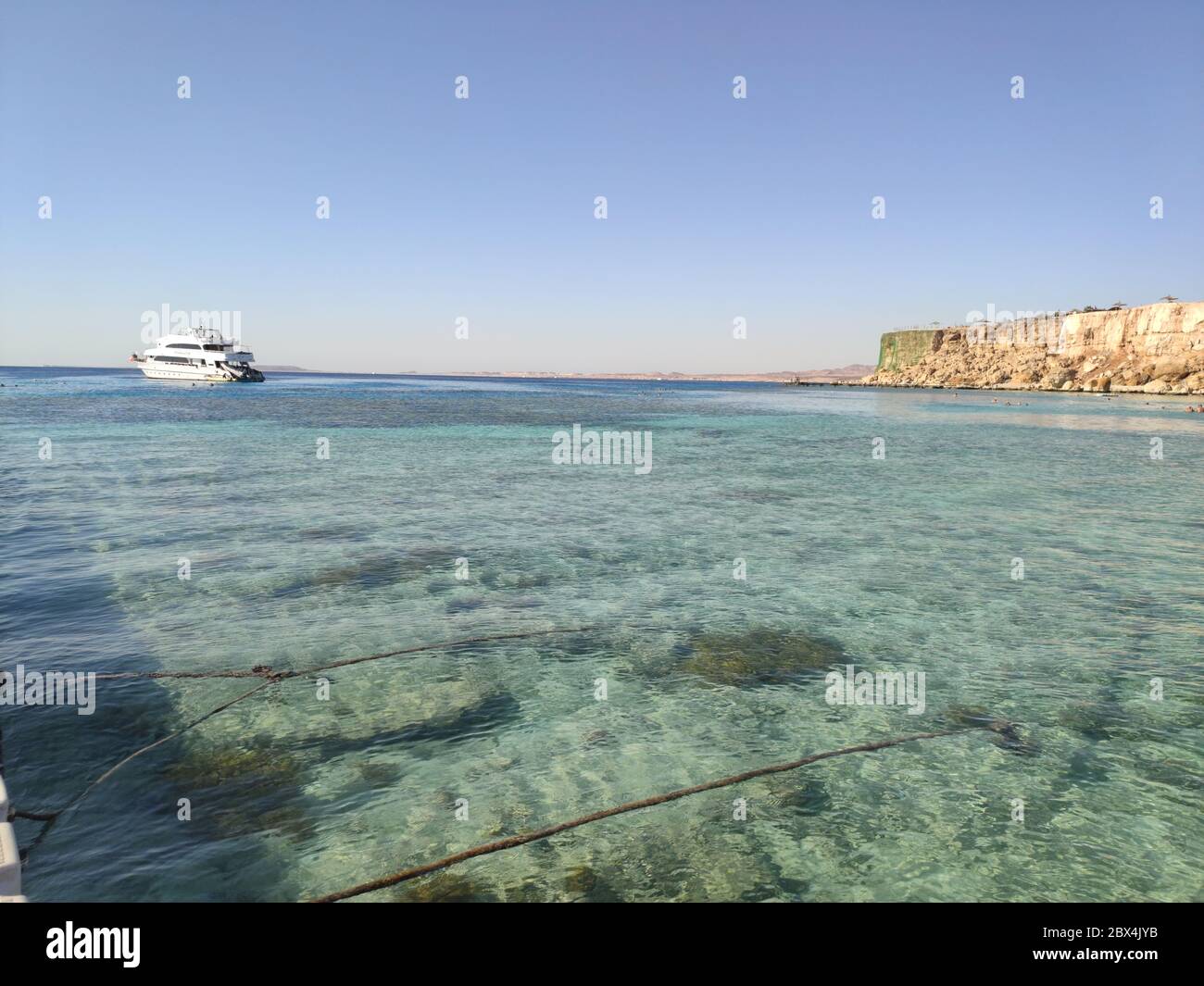 a clear sea water and corral under water Stock Photo - Alamy