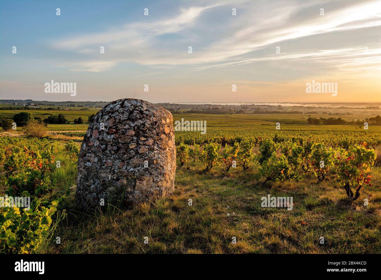 Well hut in beaujolais vineyard hi-res stock photography and images - Alamy