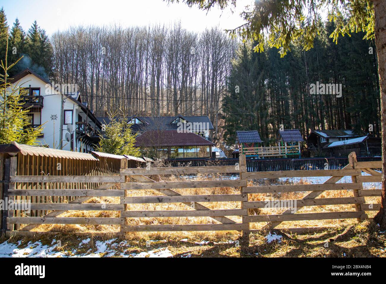 Daylight forest hi-res stock photography and images - Alamy