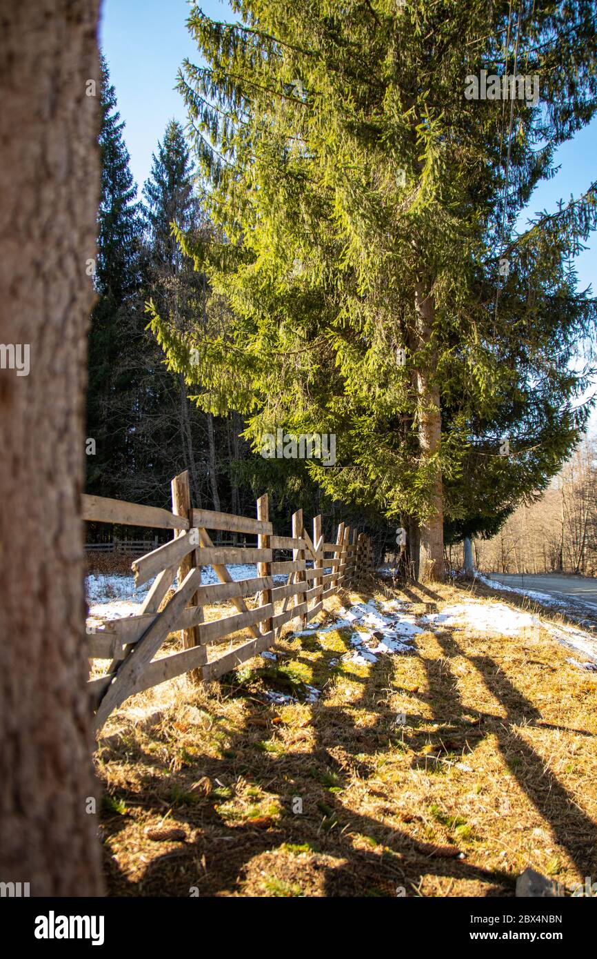 Daylight daylight scenery and scenic scenery hi-res stock photography ...