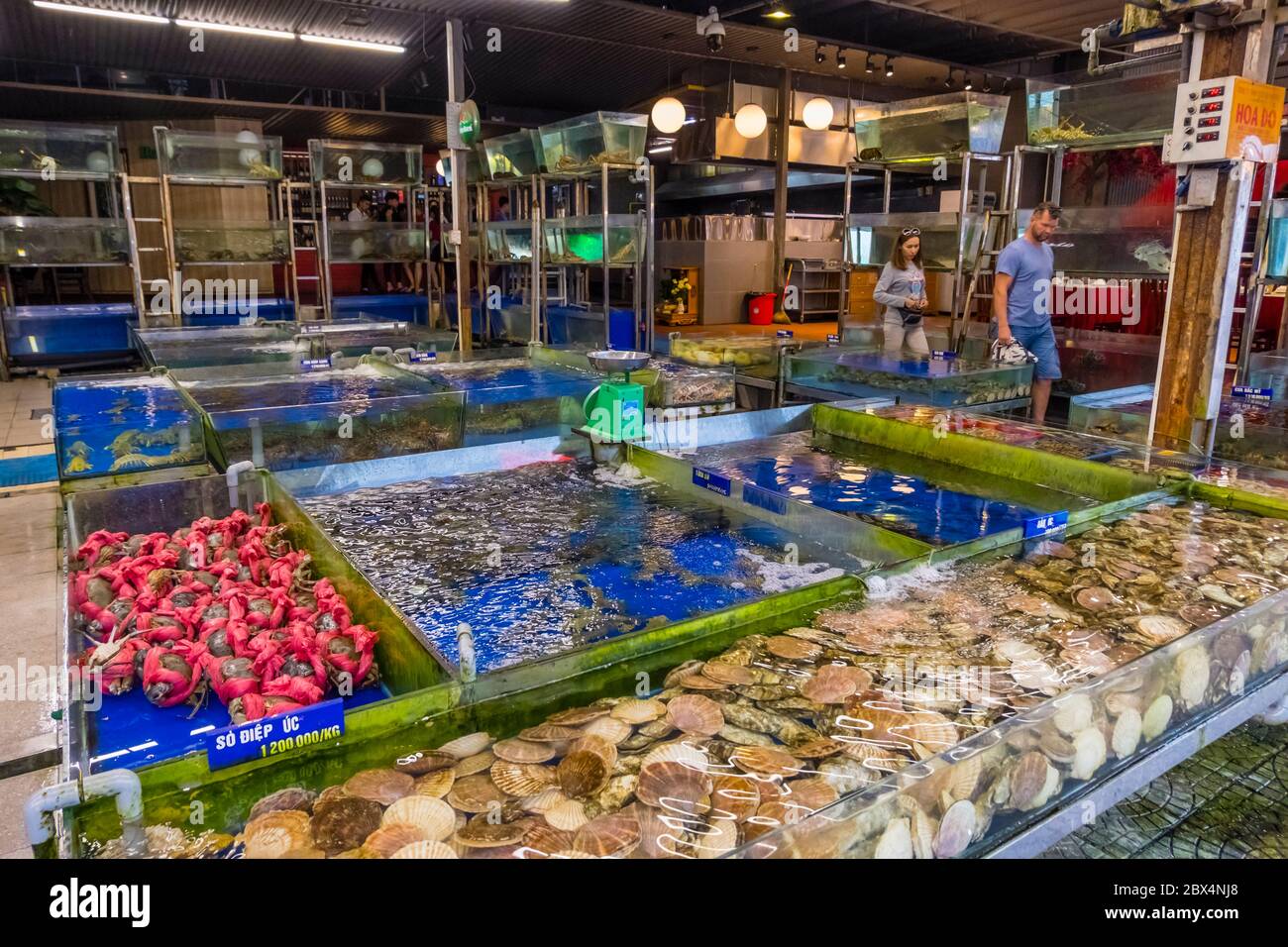 Seafood tank hi-res stock photography and images - Alamy