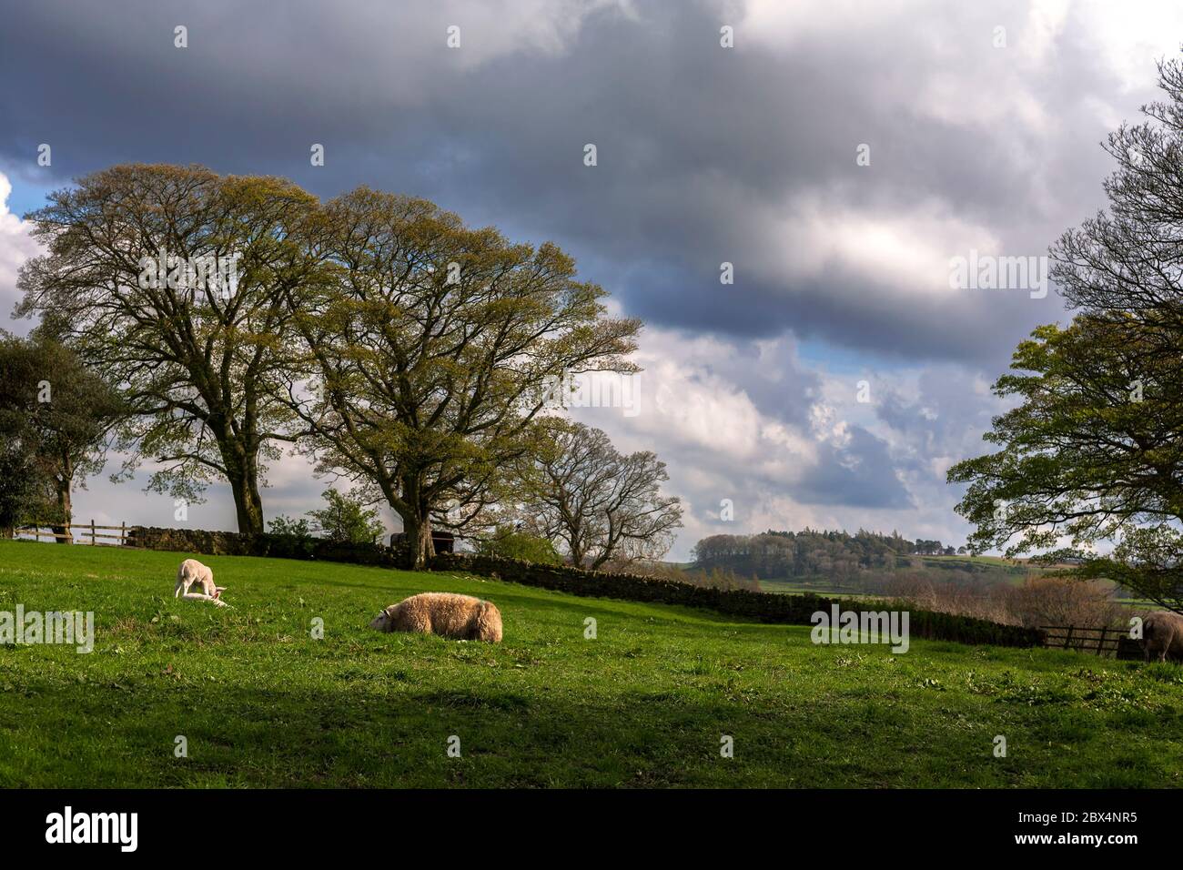 Durham hills hi-res stock photography and images - Alamy