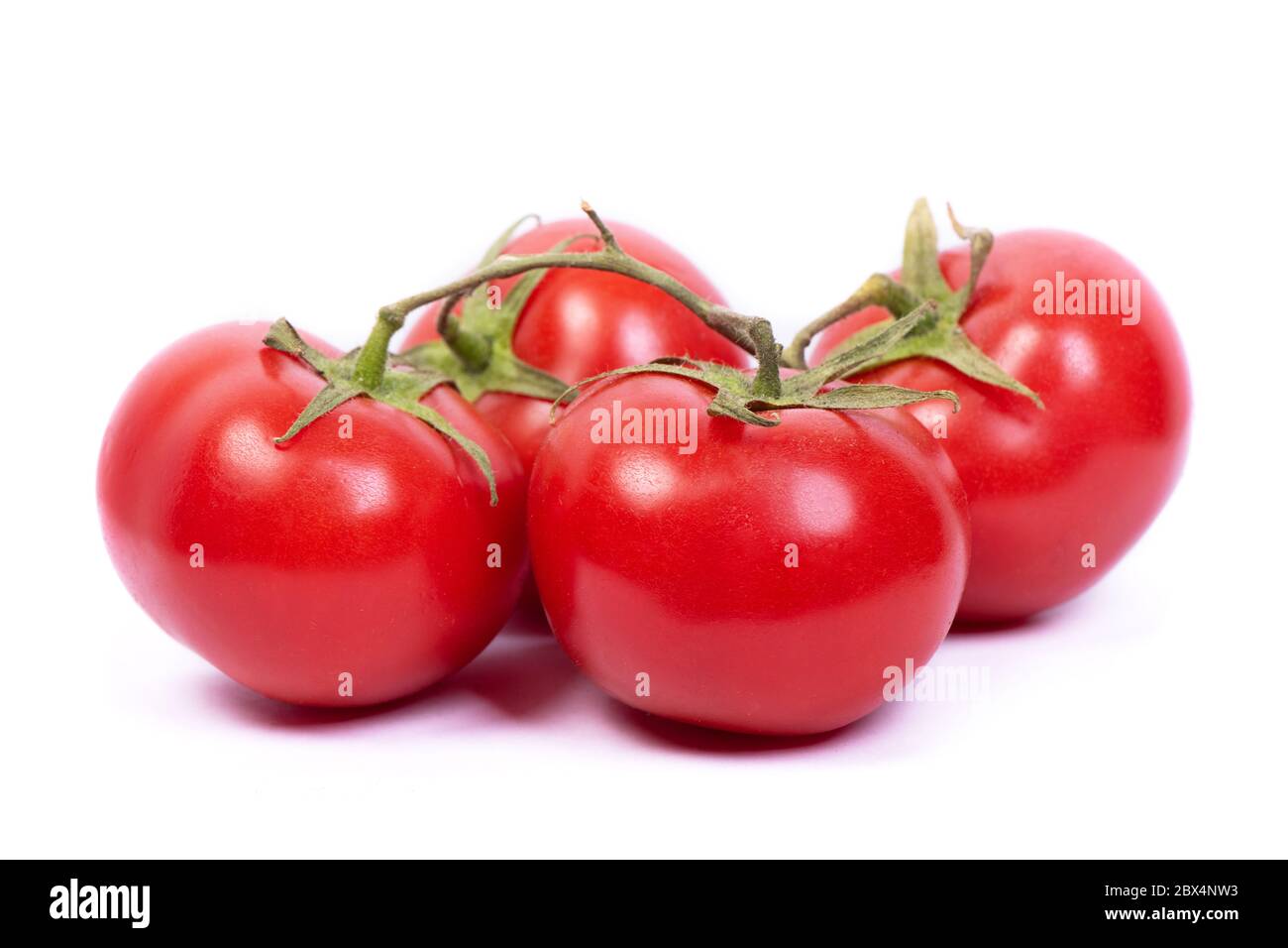 Four tomatoes on a branch isolated on white background Stock Photo - Alamy