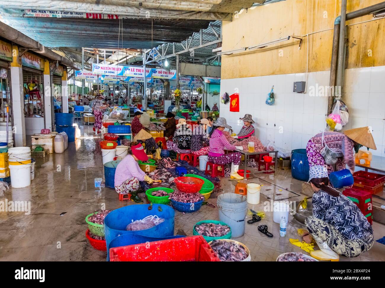 Women gutting fish, Cho Con, Con Market, Danang, Vietnam Stock Photo ...