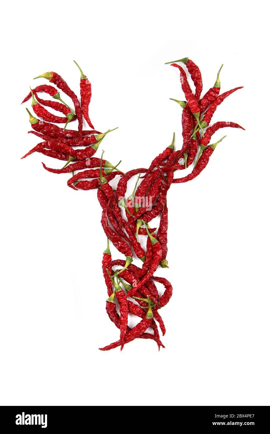y - alphabet from hot chili isolated on white background Stock Photo ...