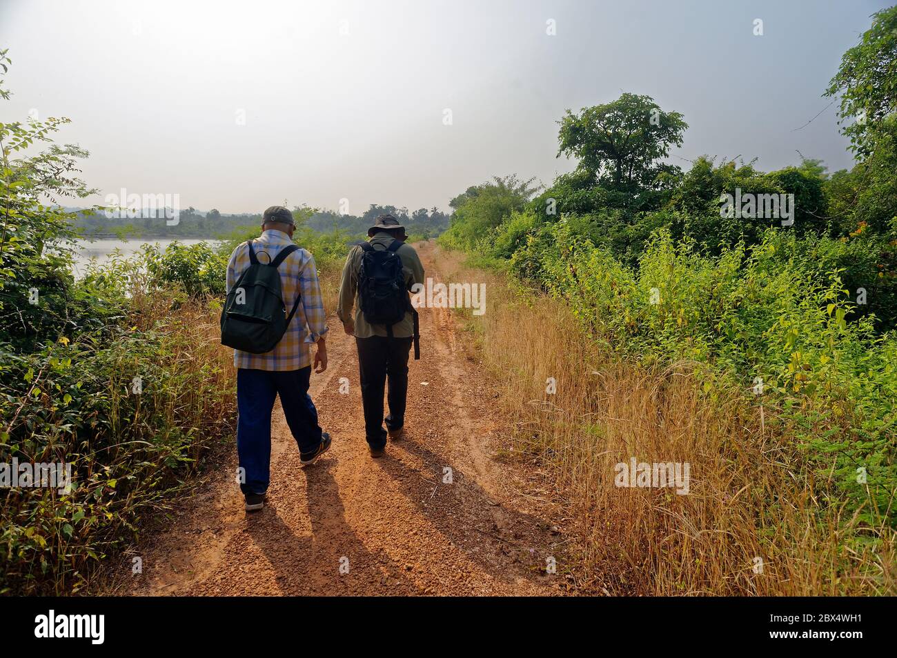 Group of people on walk through countryside Stock Photo - Alamy