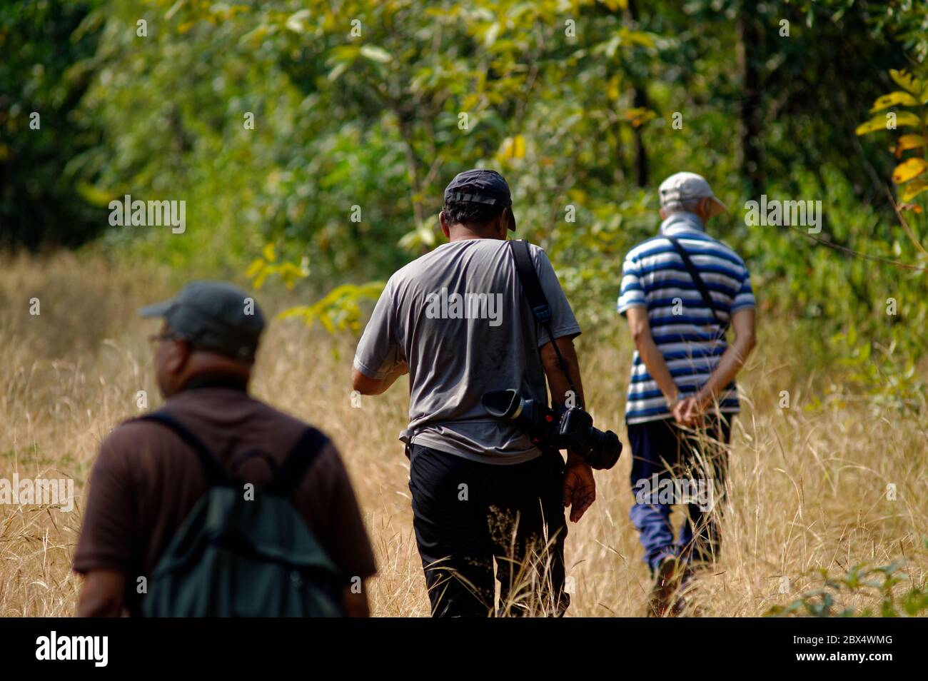 Group of people on walk through countryside Stock Photo - Alamy