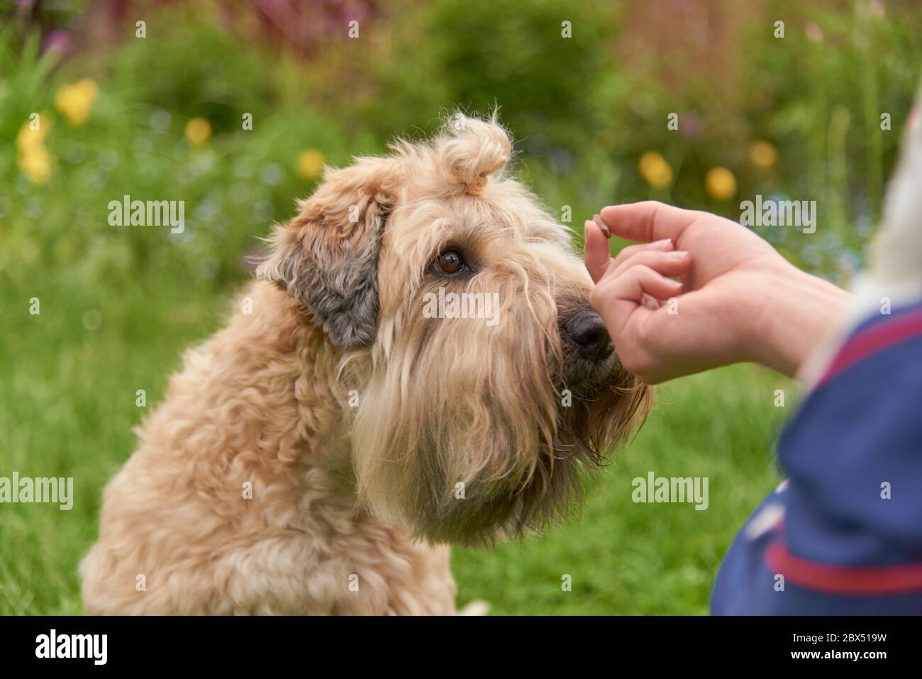 Receiving A Reward High Resolution Stock Photography and Images - Alamy