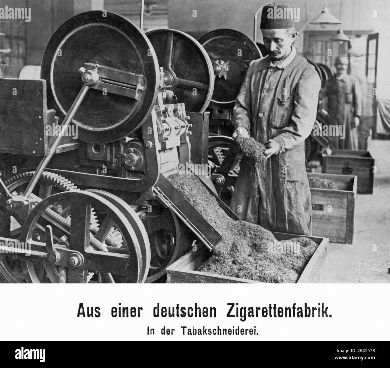 Tobacco cutting machine hi-res stock photography and images - Alamy