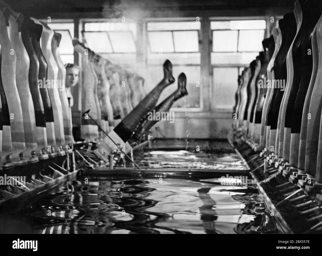 Ladies in stockings hi-res stock photography and images - Alamy