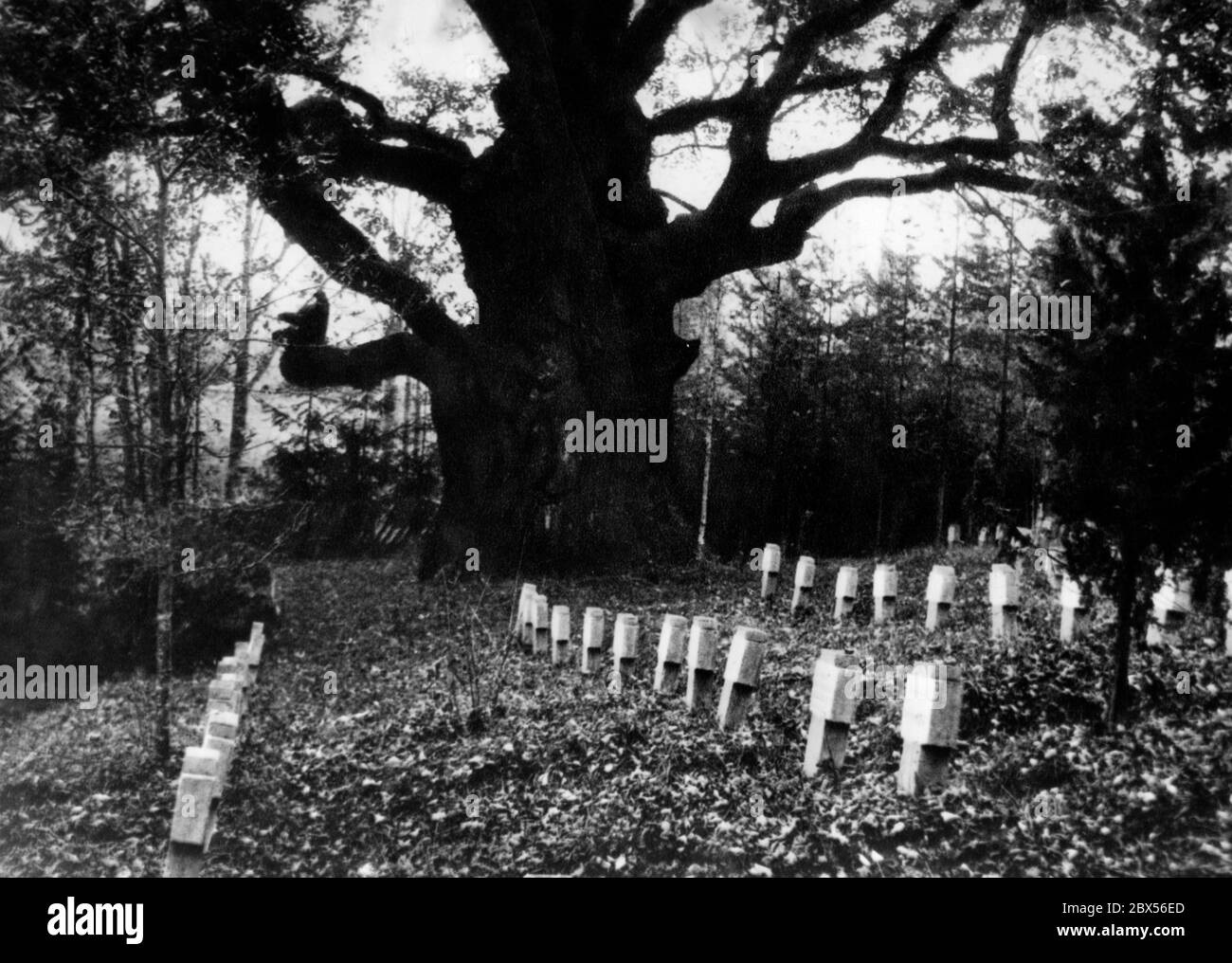 1st and 2nd world war hi-res stock photography and images - Alamy