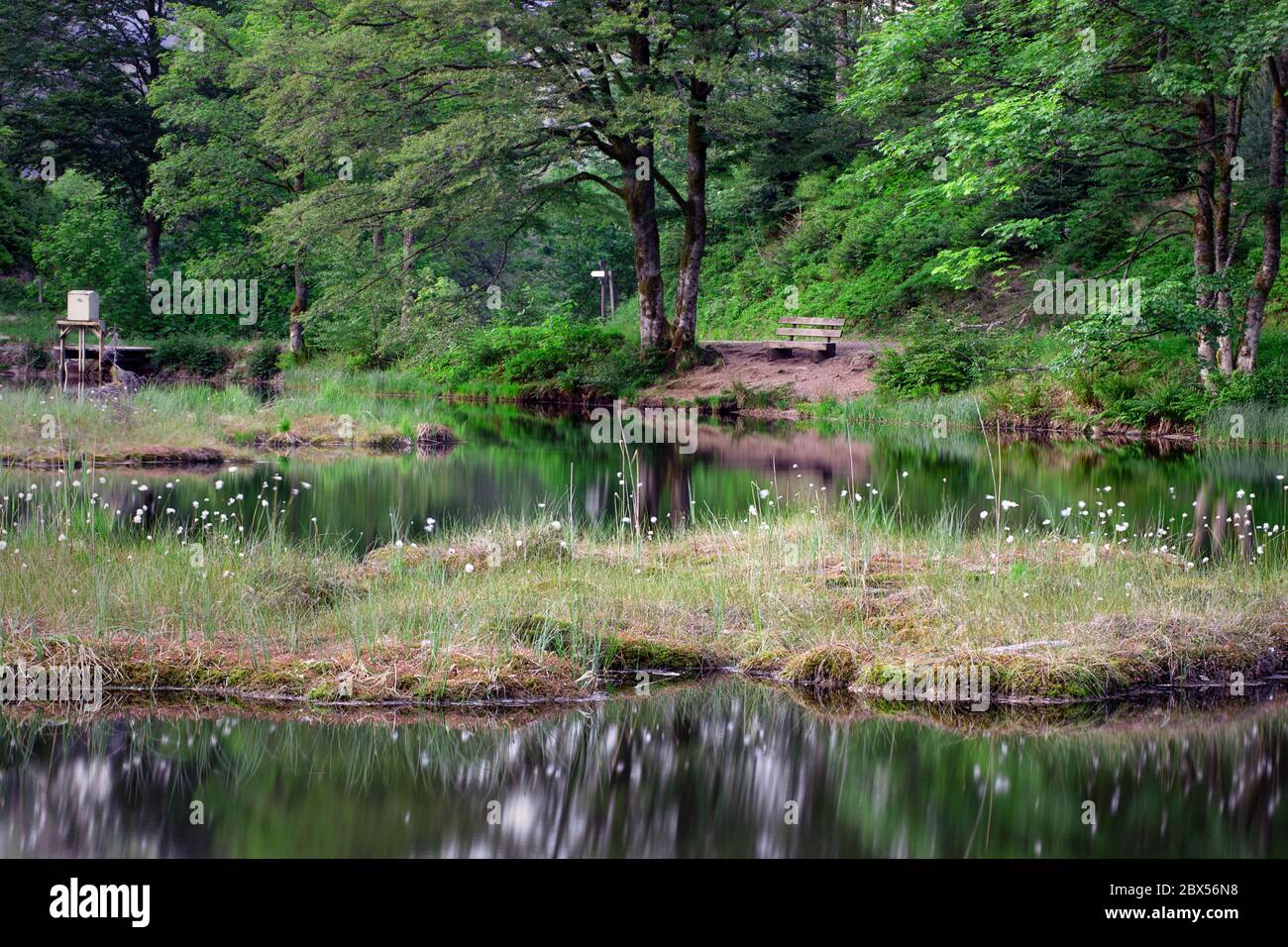 Magic lake emerald green coloured landscape with floating peat island ...