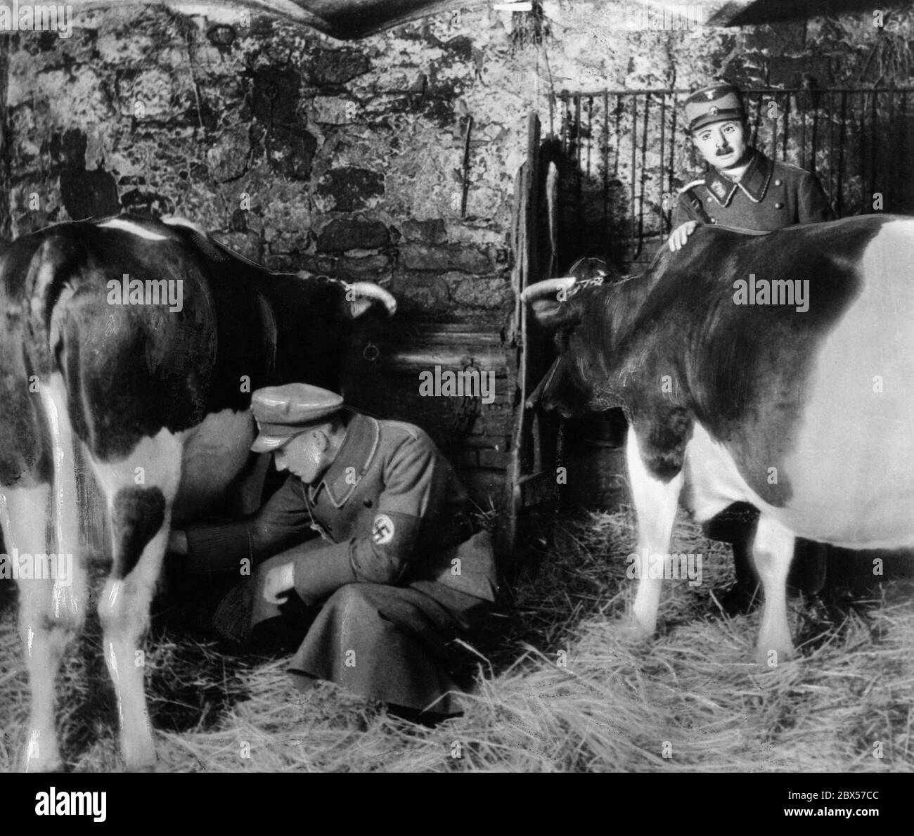 Members of the so-called "Tierschutzstreife" ("animal protection patrol ...