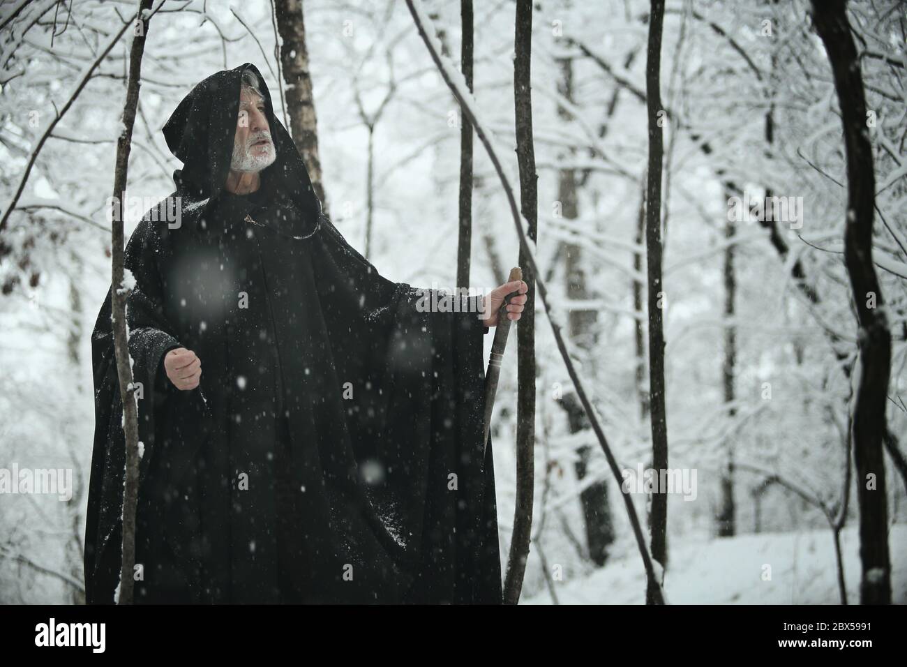 Wise hermit hi-res stock photography and images - Alamy