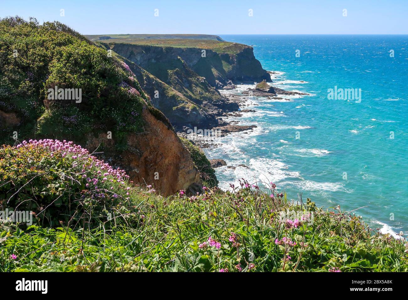 Coastal footpath Tehidy North cliffs, Cornwall Stock Photo - Alamy